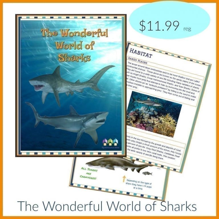 FREE The Wonderful World of Sharks Workbook! | Free Homeschool Deals