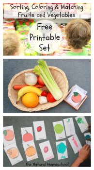 FREE Printable Set: All About Fruits & Vegetables | Free Homeschool Deals
