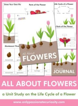 FREE All About Flowers Unit Study | Free Homeschool Deals
