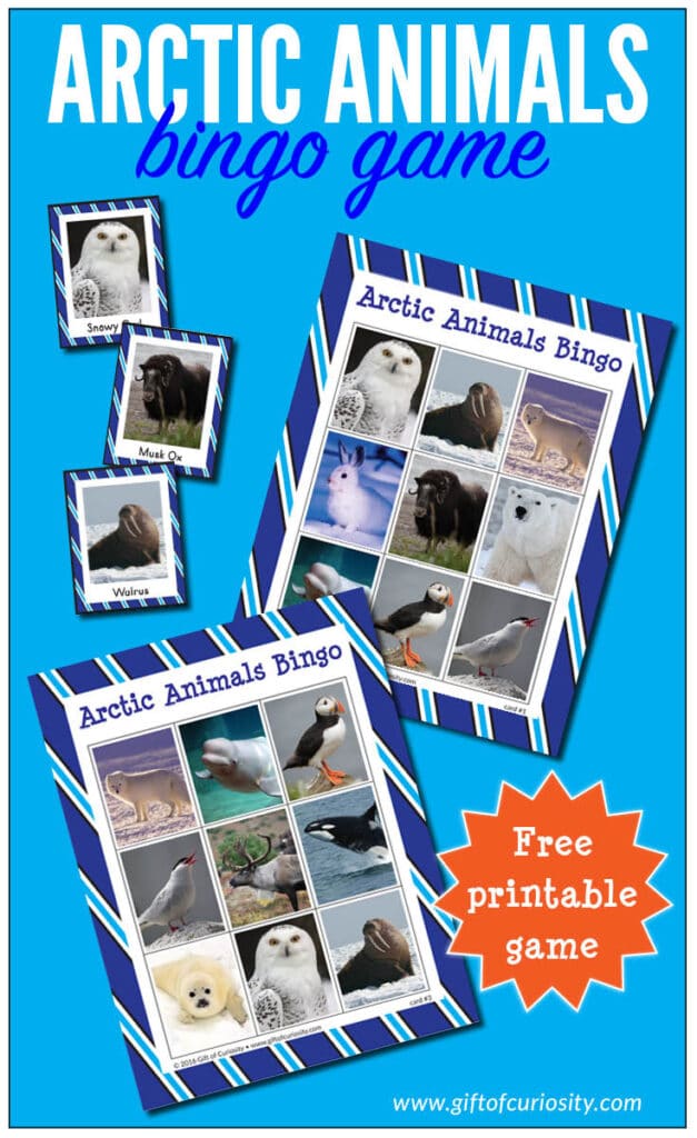 Arctic Animals Bingo Game {FREE Printable} | Free Homeschool Deals