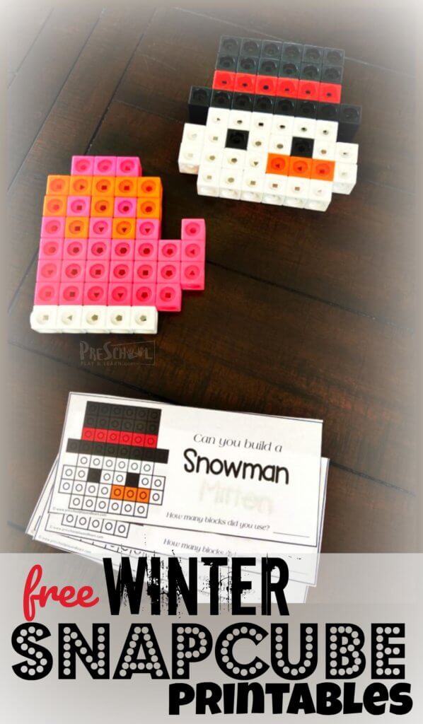 Winter Snapcube FREE Printables | Free Homeschool Deals