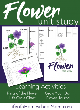 FREE Flower Unit Study | Free Homeschool Deals