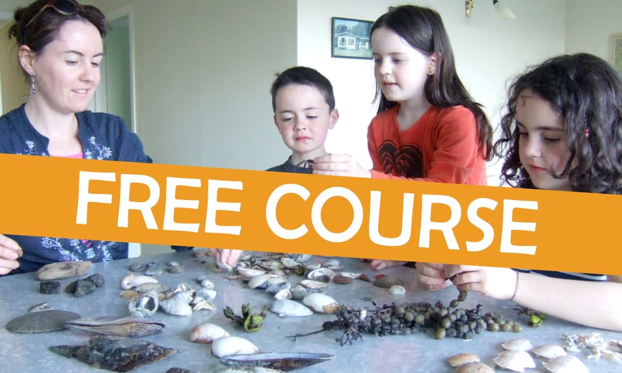 FREE Online Homeschooling Course | Free Homeschool Deals