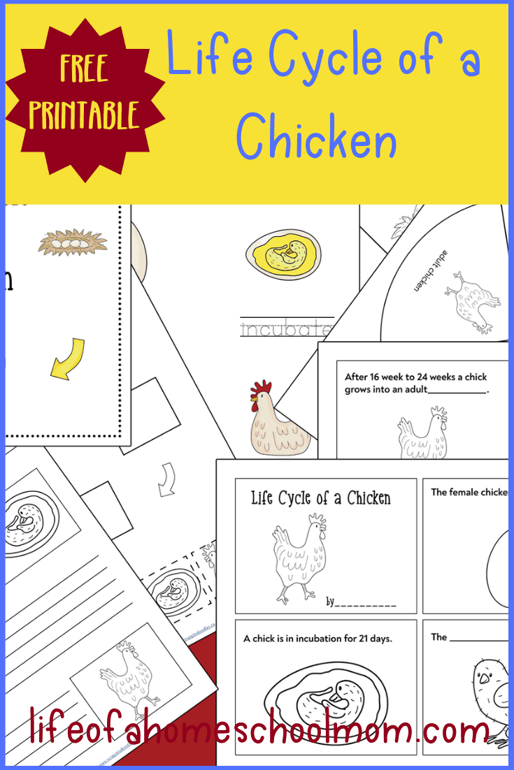 FREE Life Cycle of a Chicken Unit Study | Free Homeschool Deals