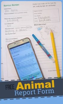 Animal Report FREE Template | Free Homeschool Deals