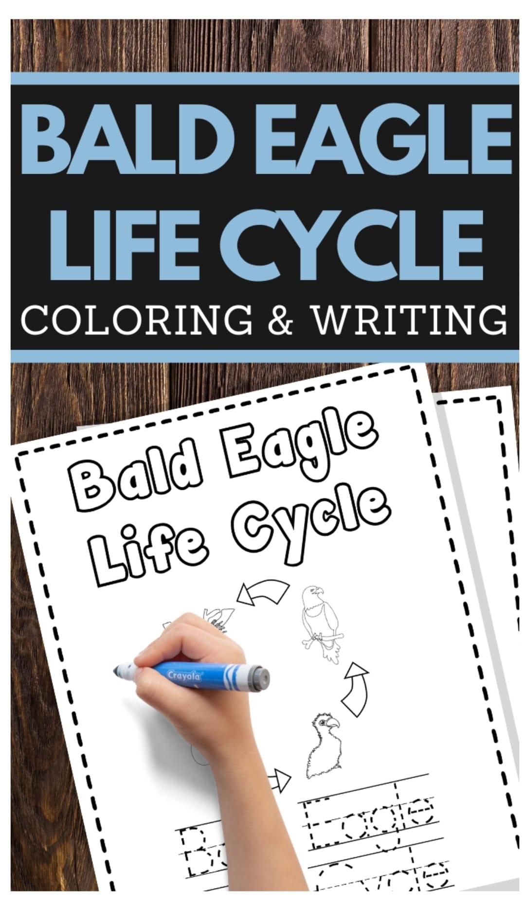 FREE Bald Eagle Writing and Coloring Pages | Free Homeschool Deals