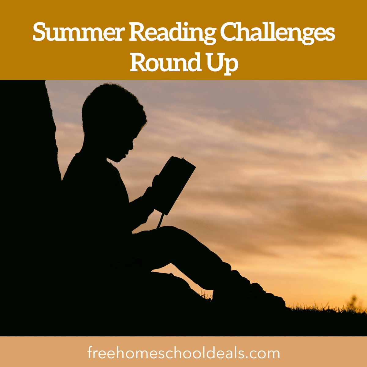 FREE Summer Reading Challenges | Free Homeschool Deals