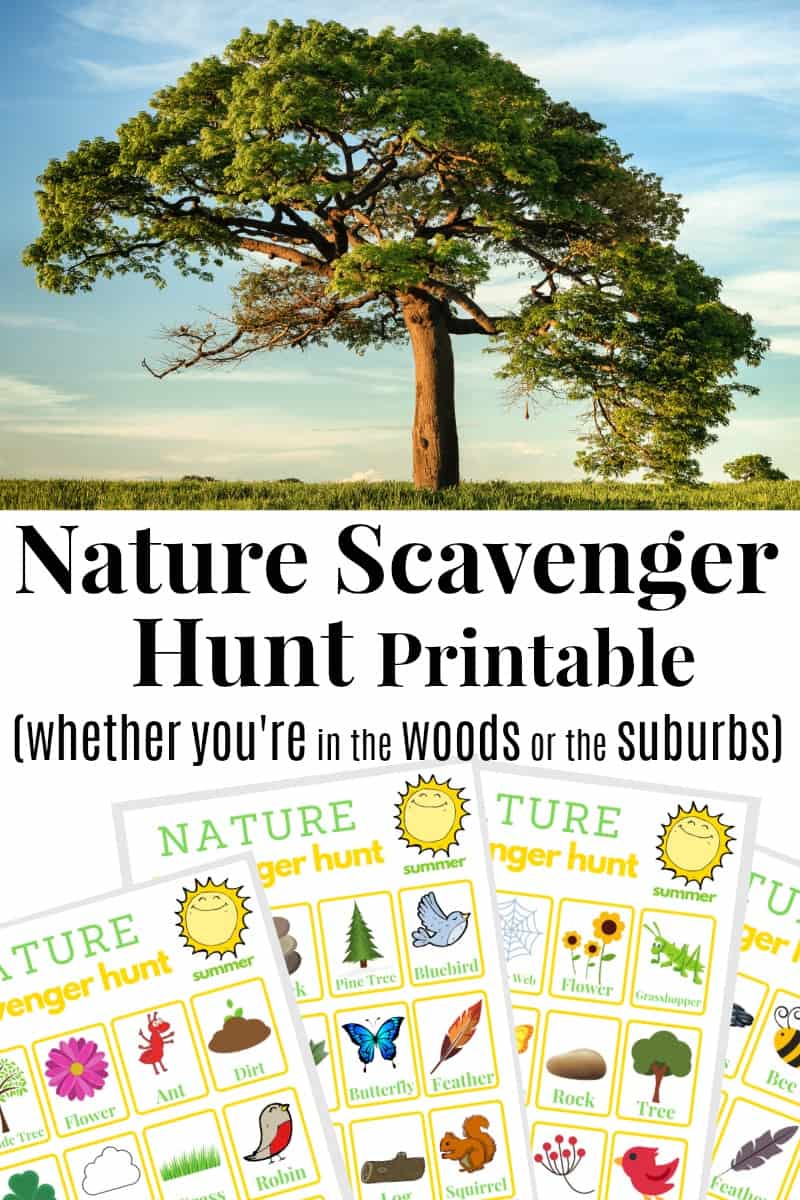 Summer Nature Scavenger Hunt Freebie | Free Homeschool Deals