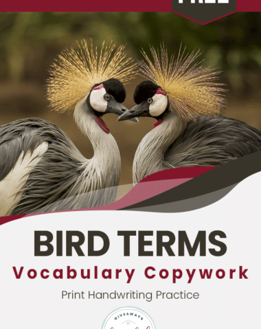 Free Vocabulary Copywork On Bird Terms | Free Homeschool Deals