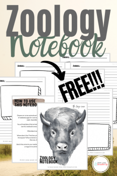 FREE Zoology Notebook Journal | Free Homeschool Deals