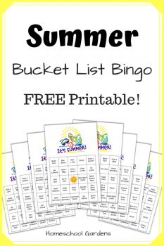 FREE Summer Bucket List Bingo Printable | Free Homeschool Deals