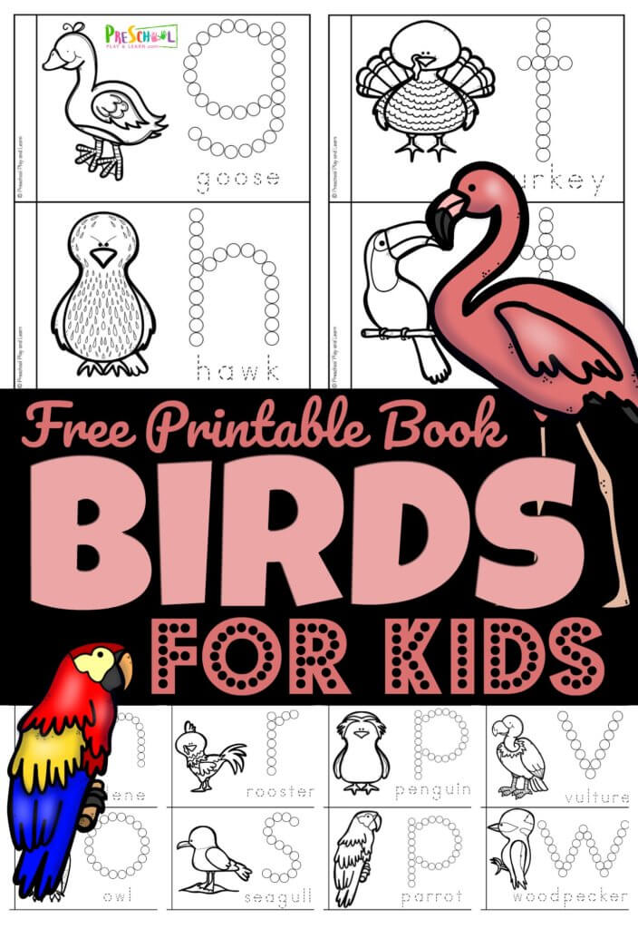 Preschool FREE Bird Printable Book | Free Homeschool Deals