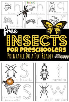 FREE Printable Preschool Insect Book | Free Homeschool Deals