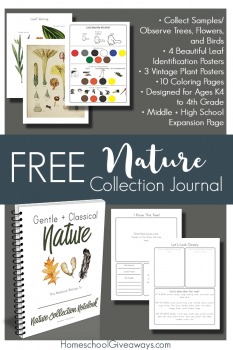 FREE Nature Collection Printable Journal | Free Homeschool Deals
