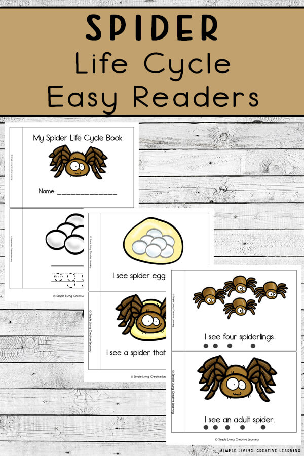 FREE Easy Reader Spider Life Cycle | Free Homeschool Deals