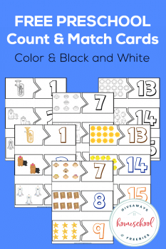 Preschool Count and Match Cards | Free Homeschool Deals