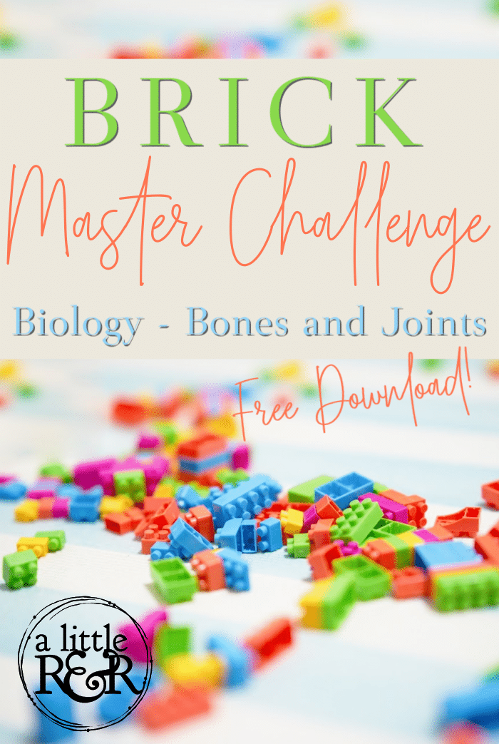 Free Brick Master Challenge Cards - Bones & Joints | Free Homeschool ...