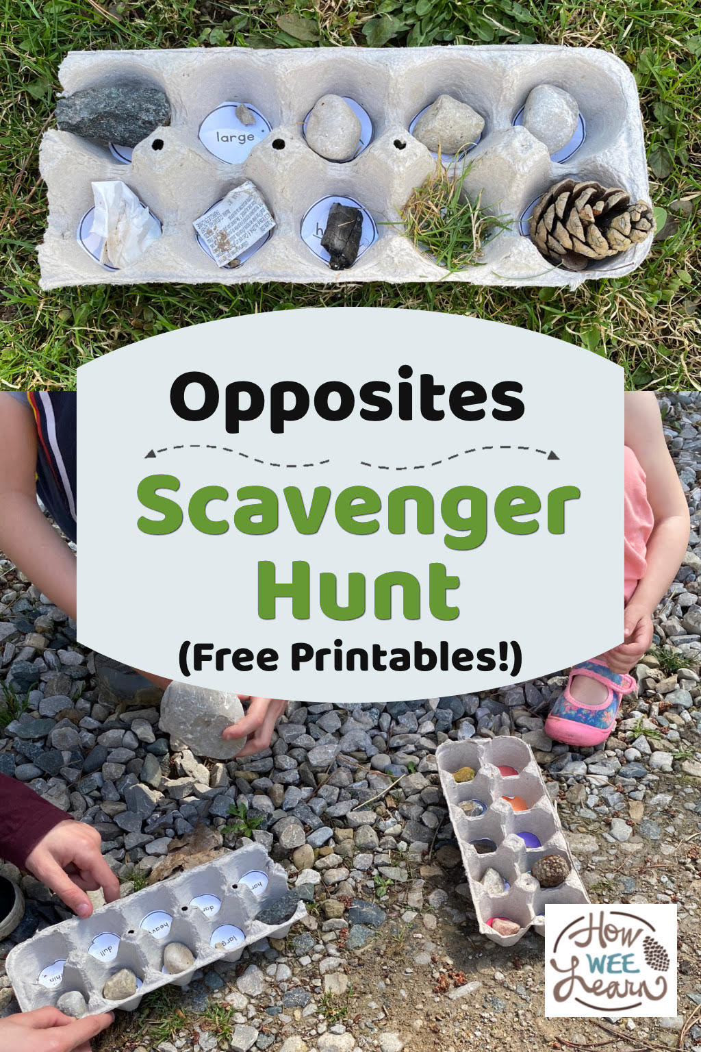 FREE Opposites Scavenger Hunt | Free Homeschool Deals
