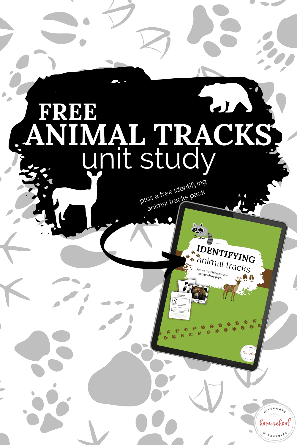 Animal Track Identification Cards