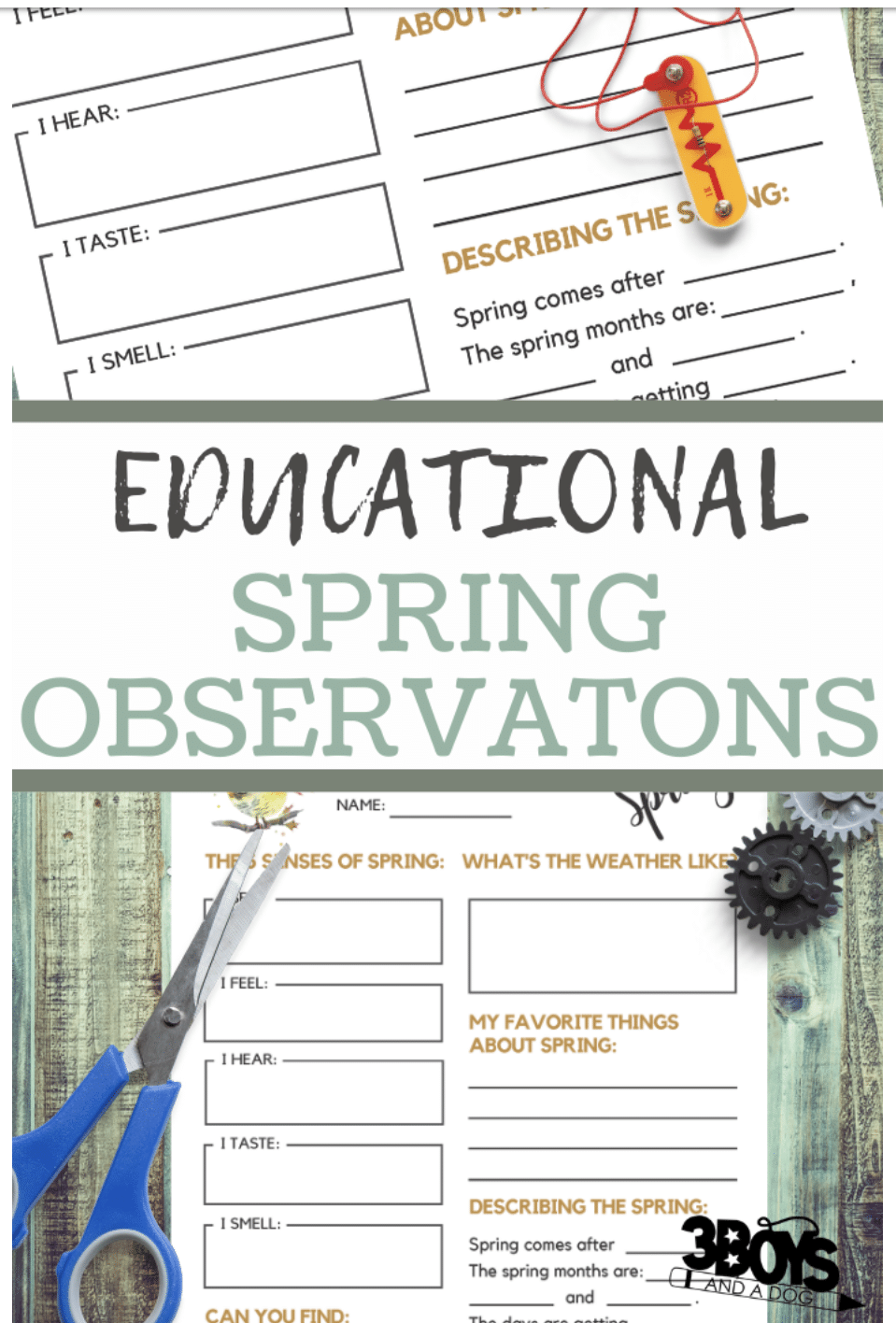 Spring Observations FREE Worksheets | Free Homeschool Deals