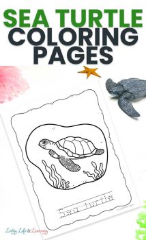 Sea Turtle FREE Coloring Pages | Free Homeschool Deals