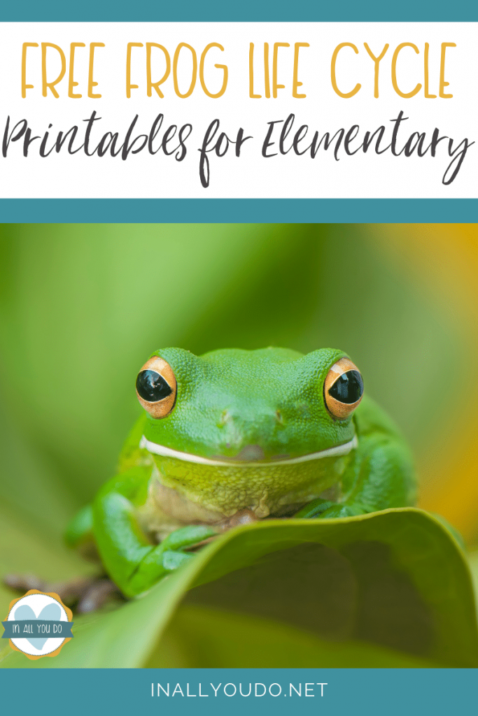 FREE Frog Life Cycle Printables | Free Homeschool Deals