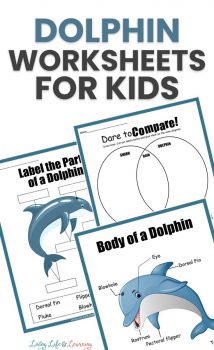 Free Dolphin Activity Pages | Free Homeschool Deals