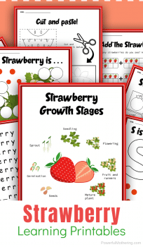 Kindergarten Strawberry Learning Activities | Free Homeschool Deals
