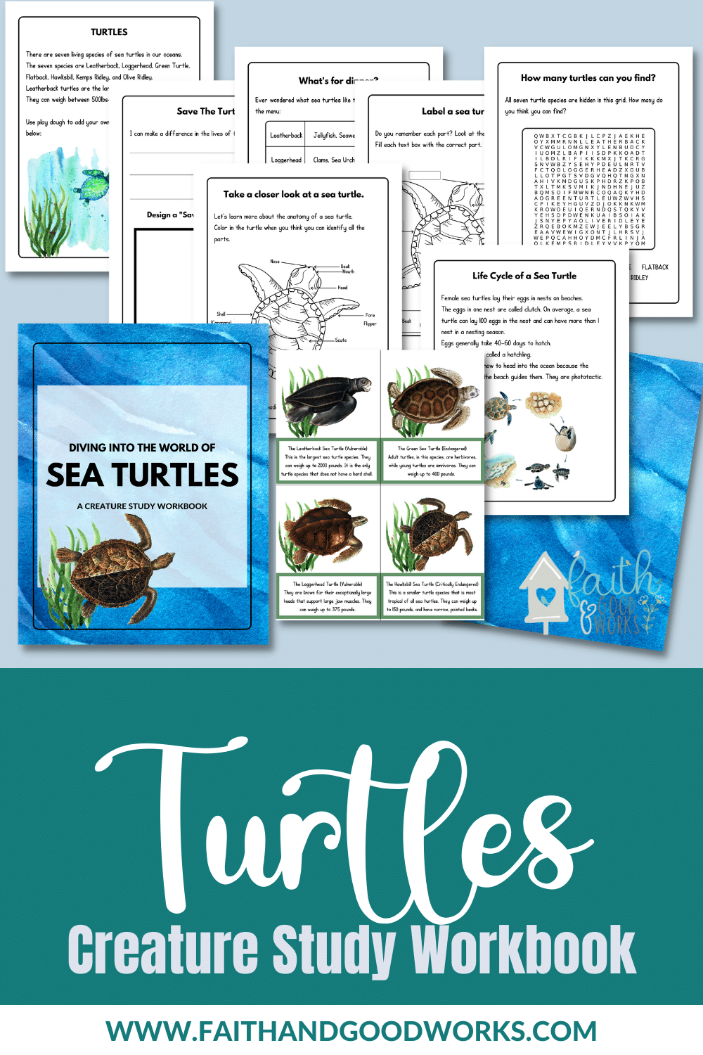 Sea Turtles Study Workbook | Free Homeschool Deals