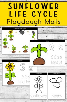 Sunflower Playdough Learning Mats | Free Homeschool Deals