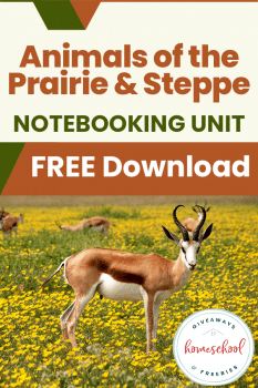 Prairie Animal Notebooking Pages | Free Homeschool Deals