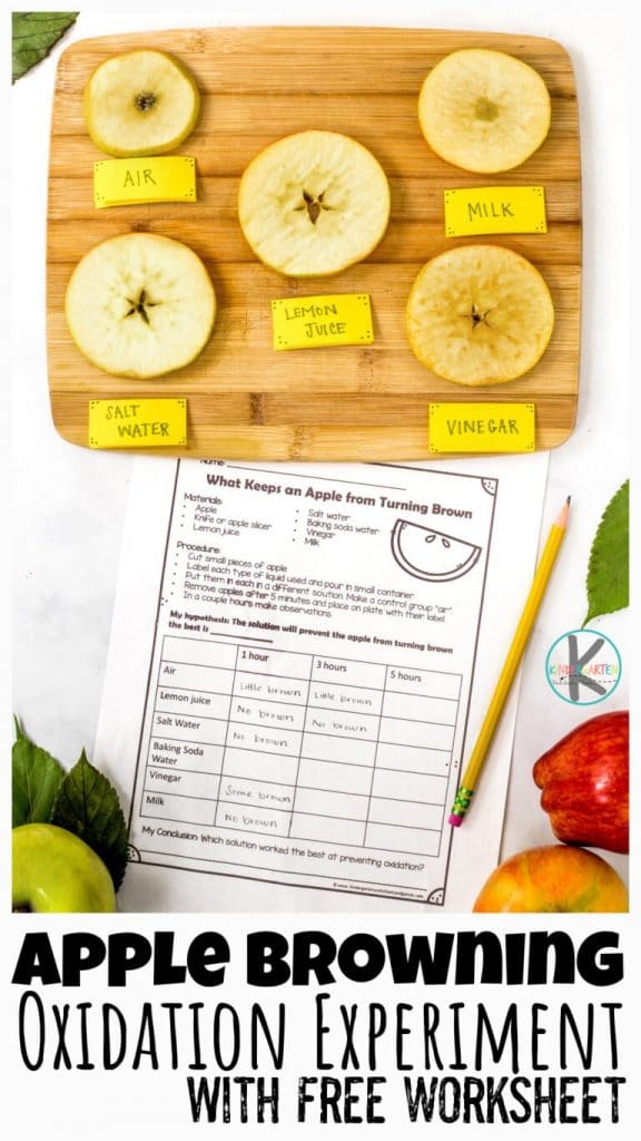 Oxidation Experiment and Worksheet | Free Homeschool Deals