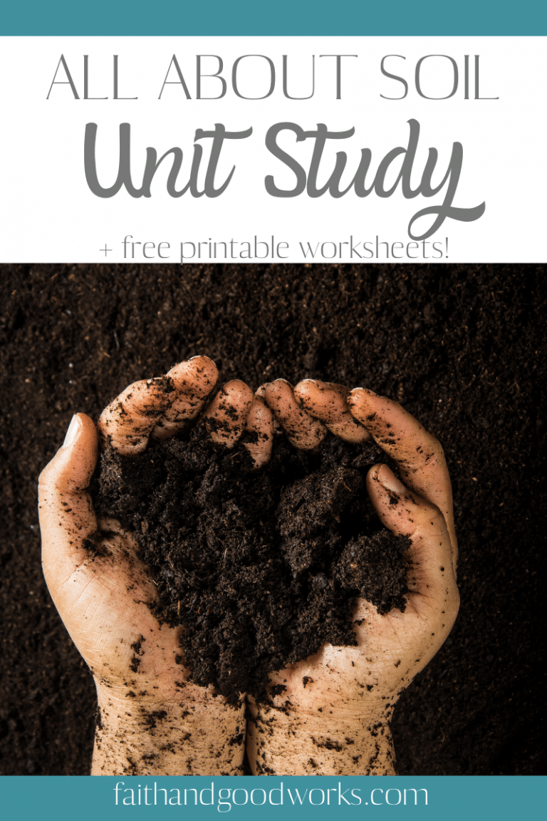 Free Soil Learning Activity | Free Homeschool Deals