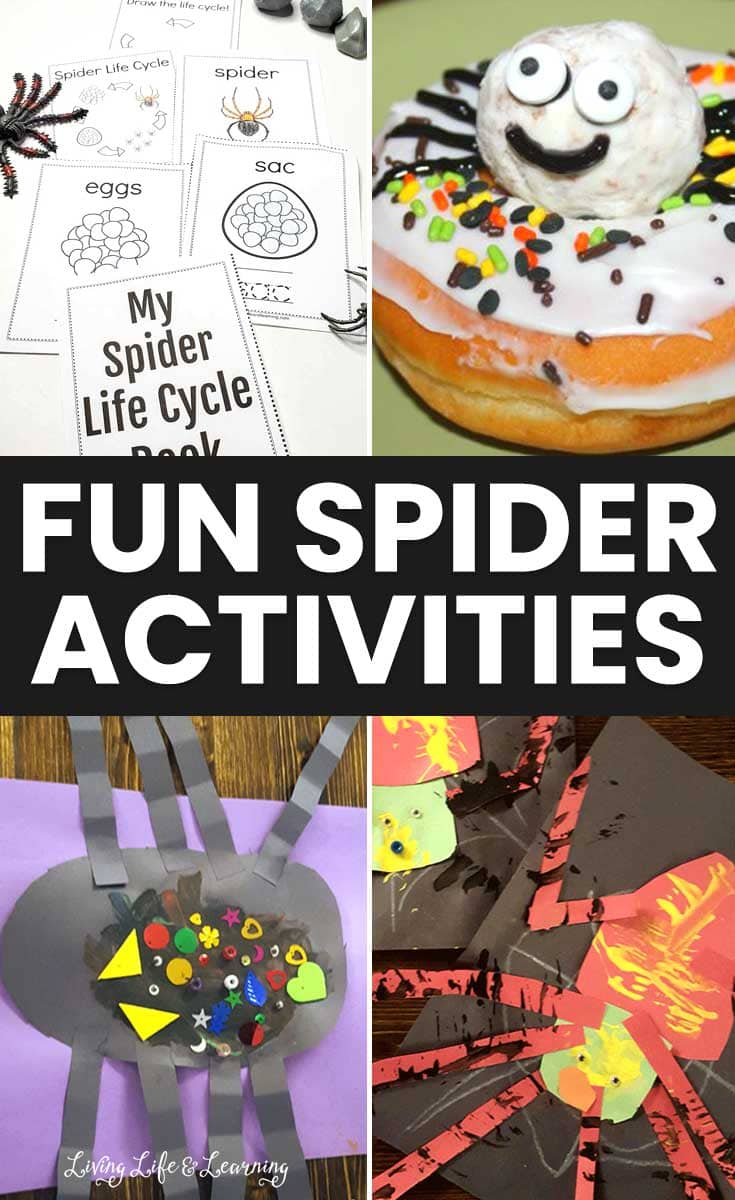 Spider Themed Activities | Free Homeschool Deals