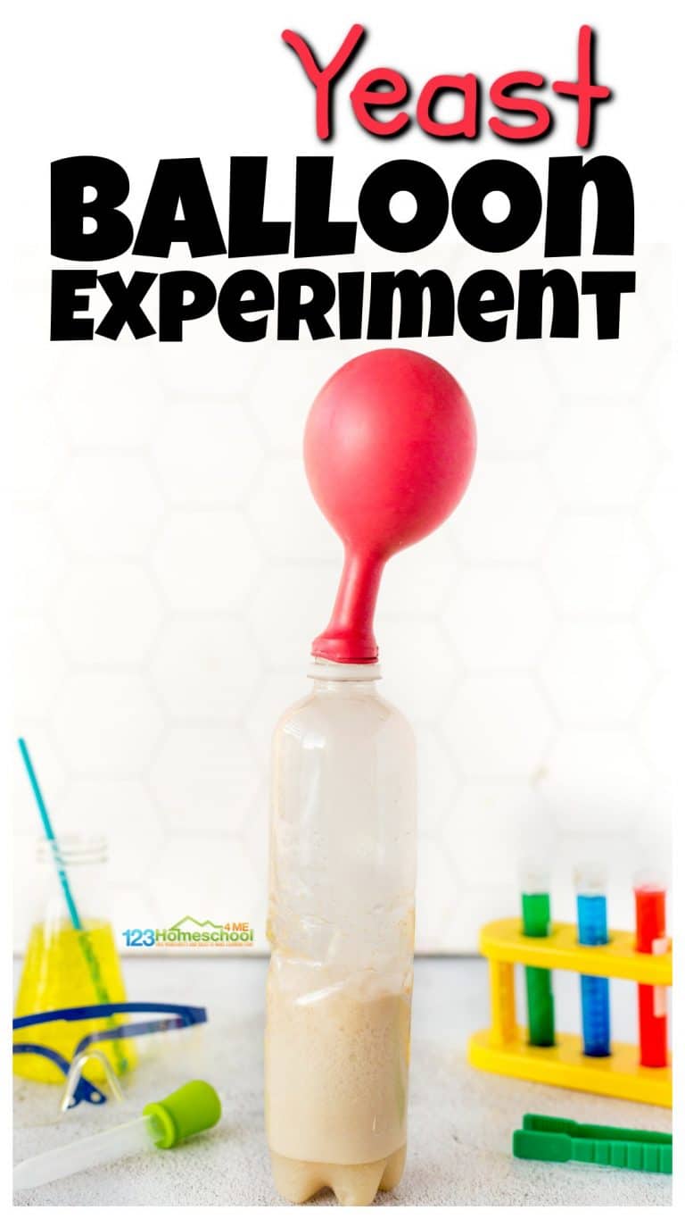 Balloon Activity and Observation Worksheet | Free Homeschool Deals