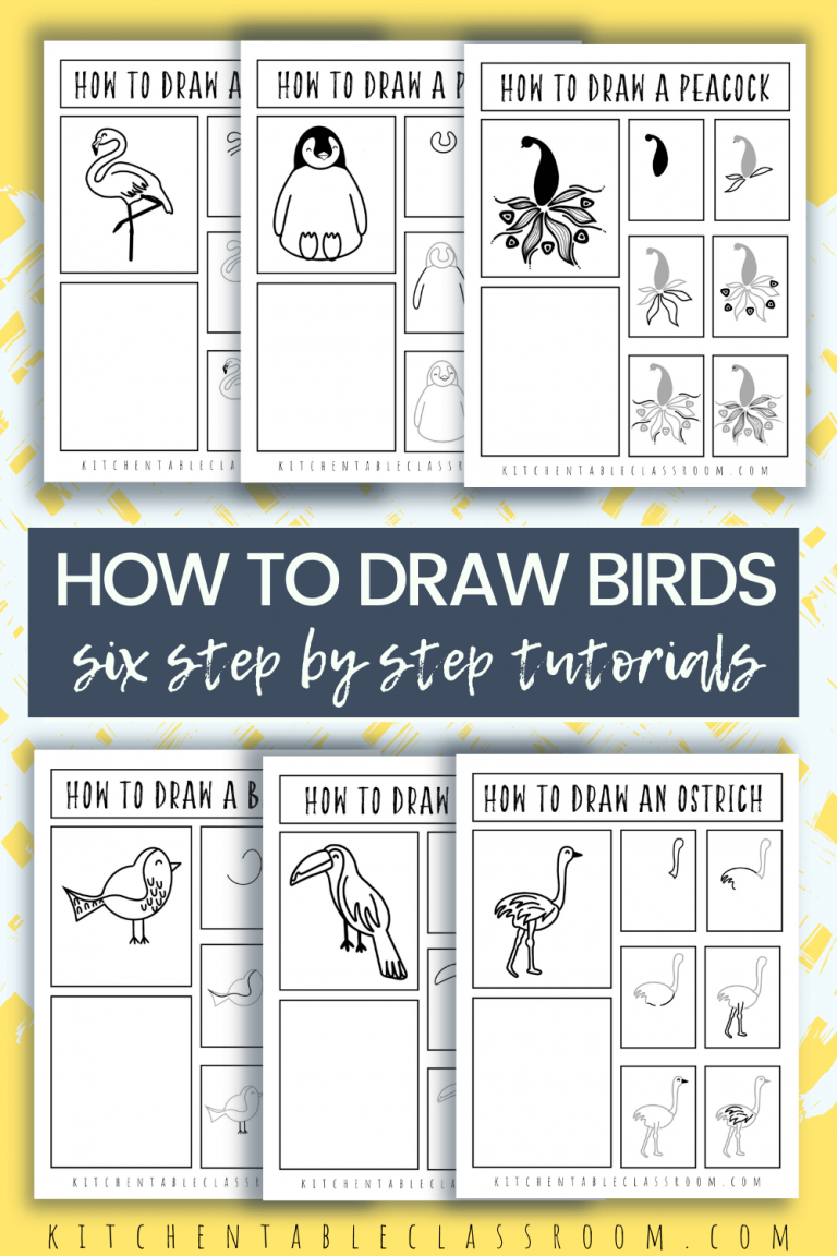 Free Bird Drawing Lessons | Free Homeschool Deals