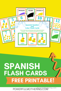 Free Spanish Flash Cards | Free Homeschool Deals
