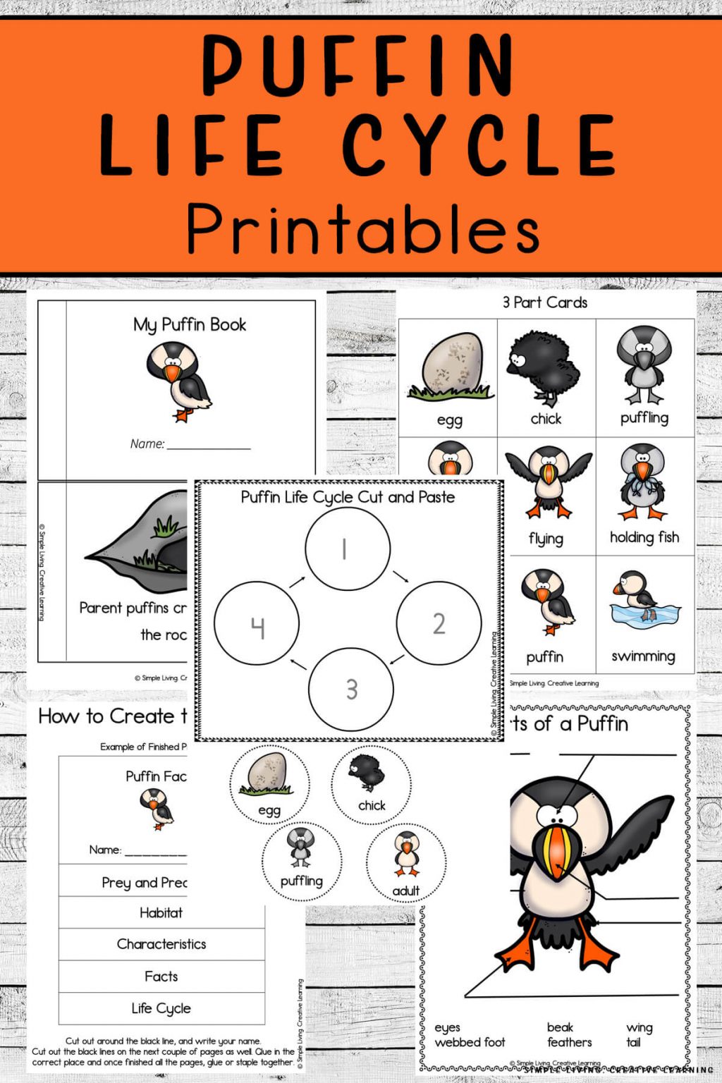Puffin Life Cycle Printables | Free Homeschool Deals