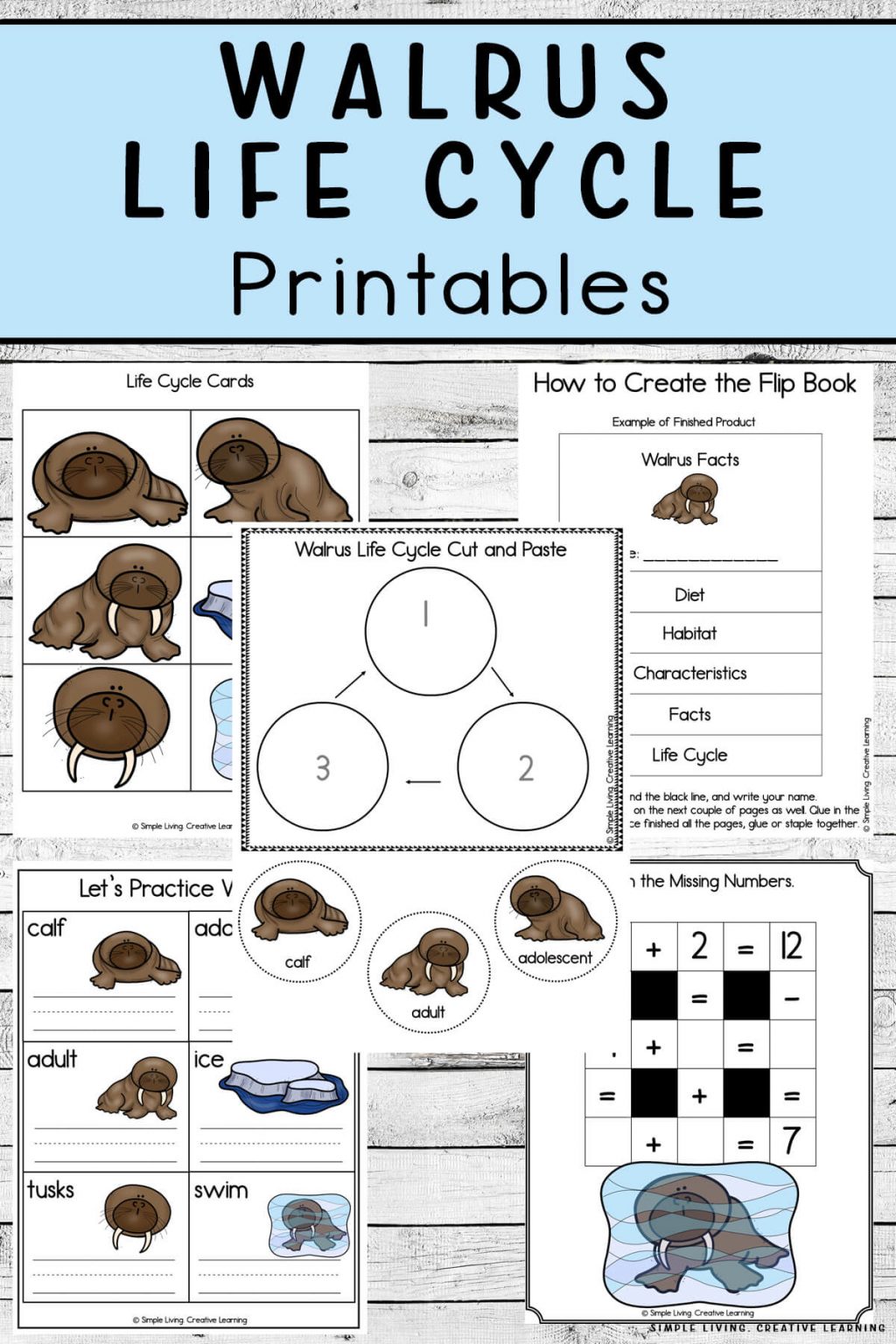 Walrus Life Cycle Worksheets | Free Homeschool Deals