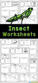 Free Insect Worksheets | Free Homeschool Deals