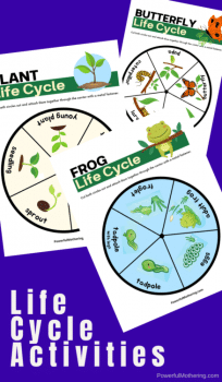 Animal Life Cycle Wheels | Free Homeschool Deals