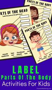 Label Parts of the Body | Free Homeschool Deals
