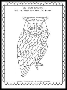 Owl Fun Fact Coloring Page | Free Homeschool Deals