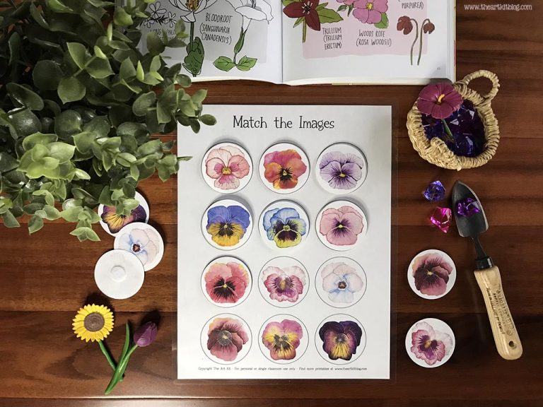 Flower Matching Game | Free Homeschool Deals