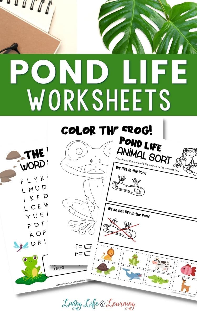 Pond Life Worksheets | Free Homeschool Deals