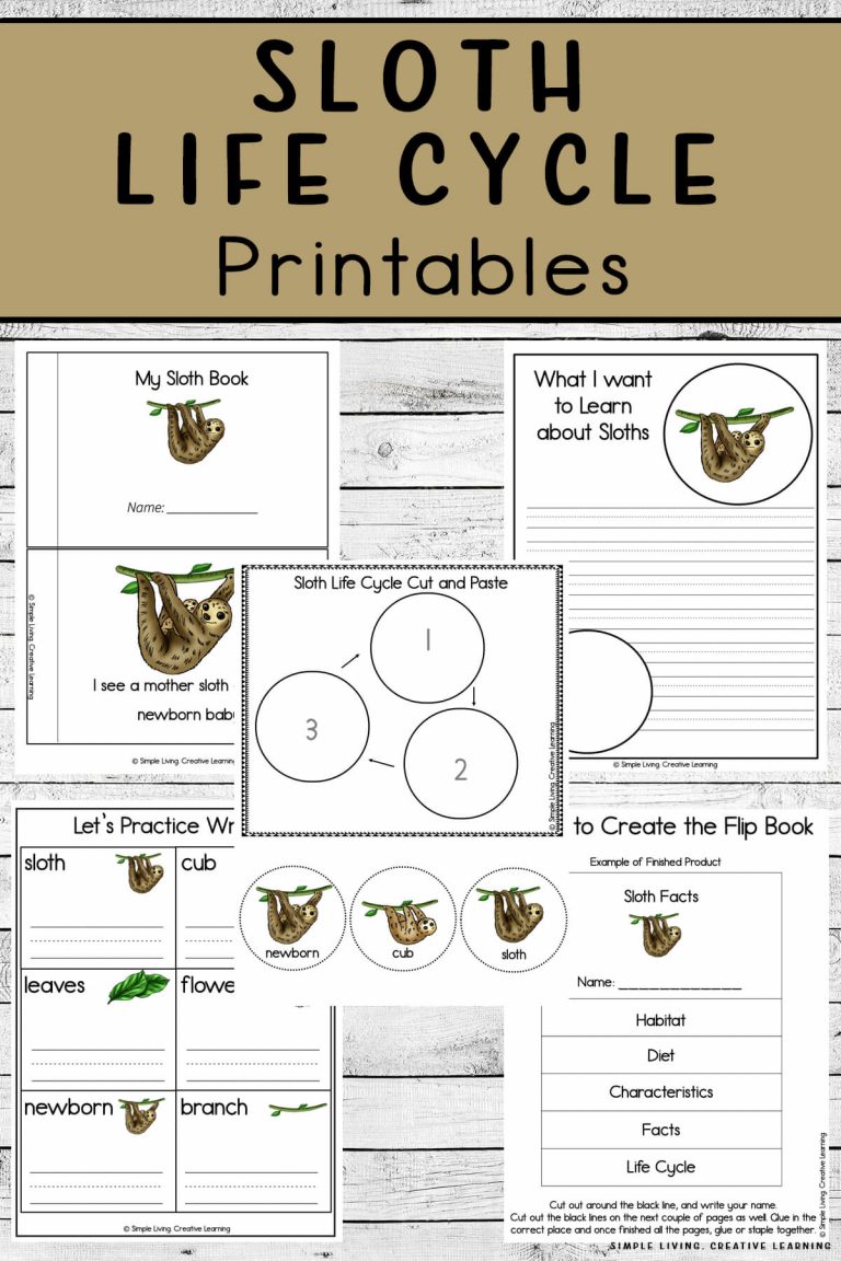 Sloth Life Cycle Worksheets | Free Homeschool Deals