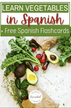 Learn Vegetables in Spanish | Free Homeschool Deals