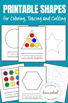 Printable Shape Pages | Free Homeschool Deals