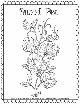 Sweat Pea Flower Coloring Page | Free Homeschool Deals