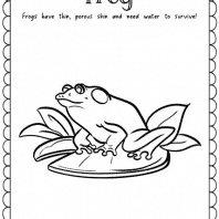 Free Homeschool Deals: Affording the Homeschool Life